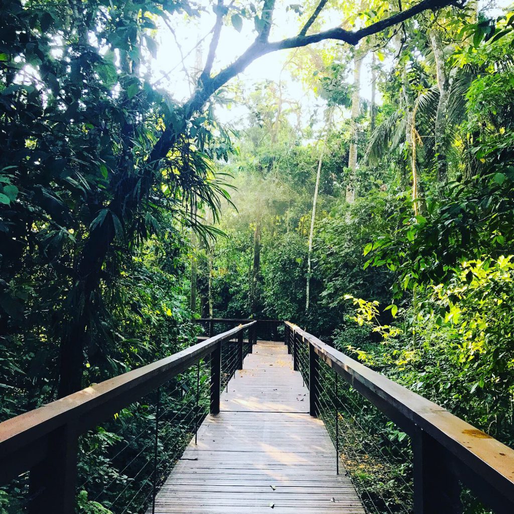 RAINFOREST EXPEDITIONS – Silvia Pisci
